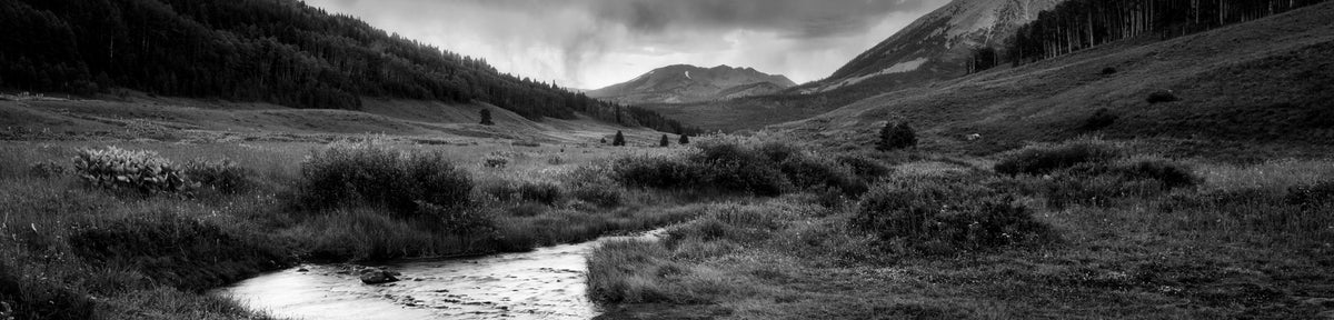 Alpine Flies – Colorado Fly Supply