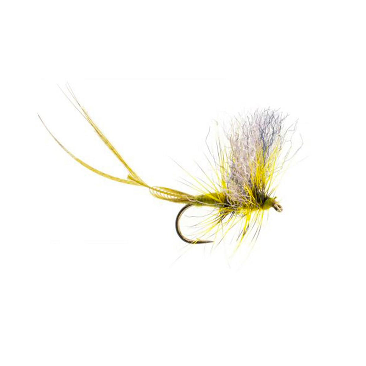 Green Drake Masterclass Dry Fly – Colorado Fly Supply