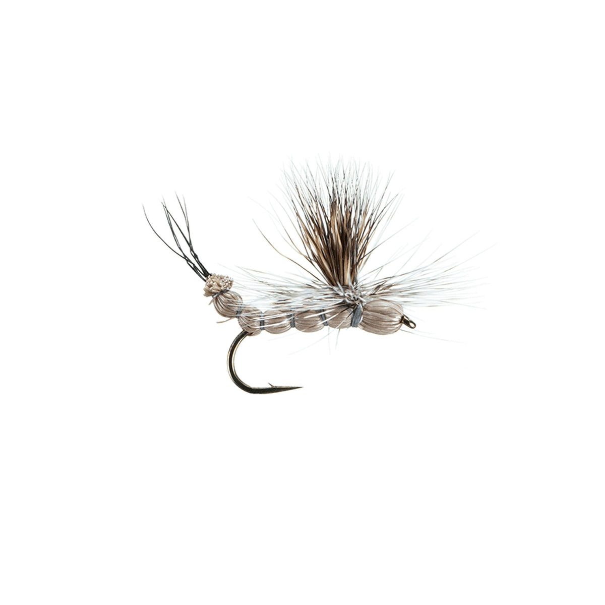 Grey Drake Extended Body – Colorado Fly Supply