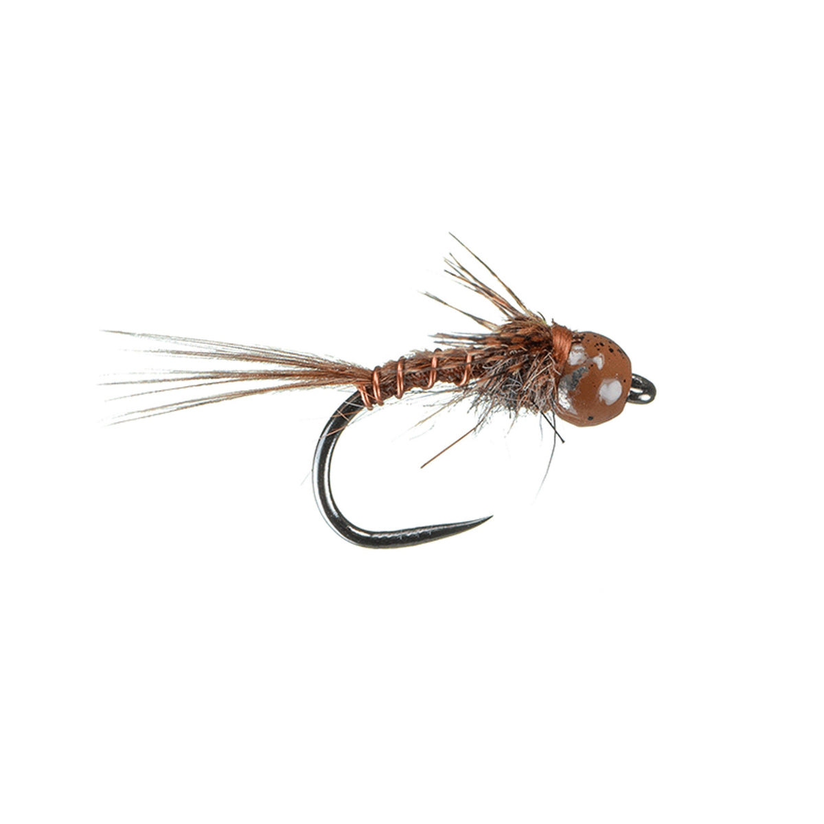 American Nymph Mottled Tungsten – Colorado Fly Supply