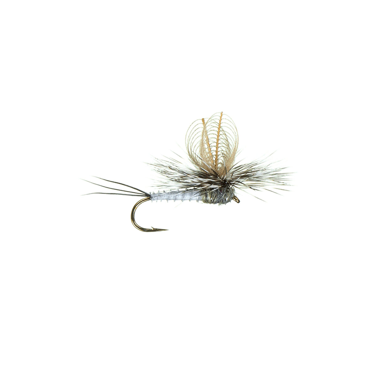 Loopwing Grey Drake – Colorado Fly Supply